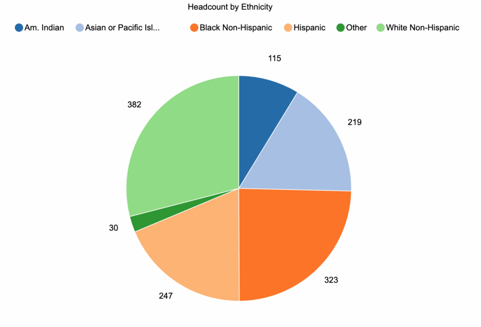 Pie Chart – Head County by Race/Ethnicity - Evisions